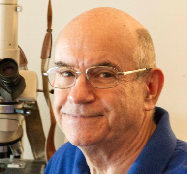 Robert A Adamo | Mercy University