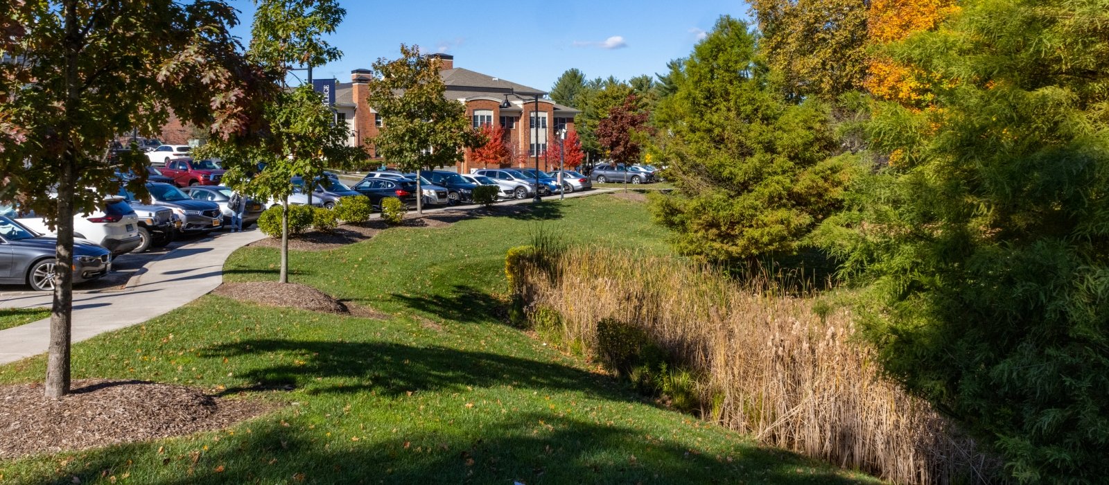 Campus Locations | Mercy University