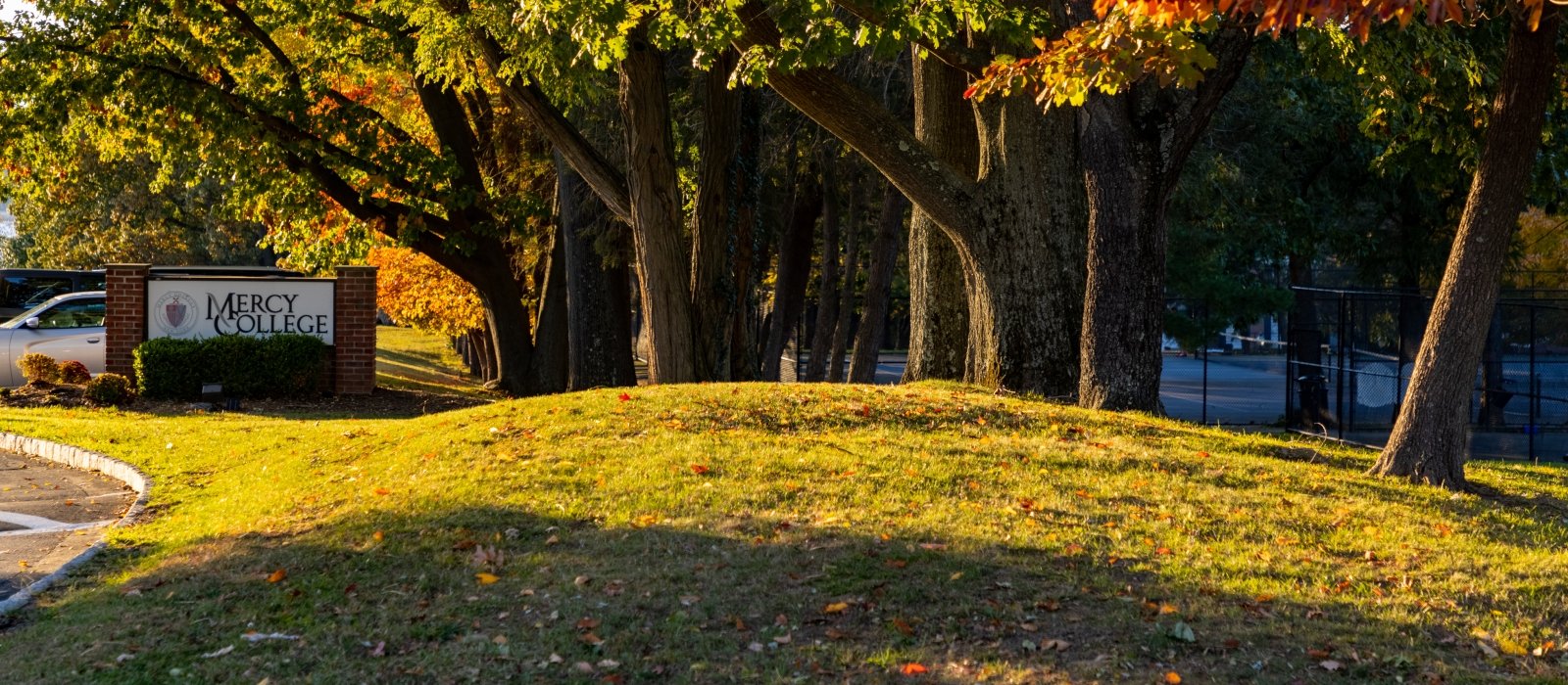 Financial Aid | Mercy College