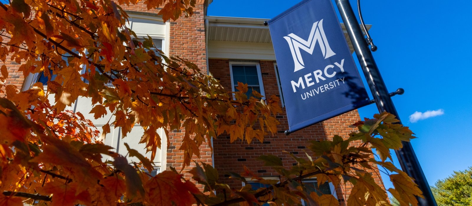 Awards & Accreditations | Mercy University