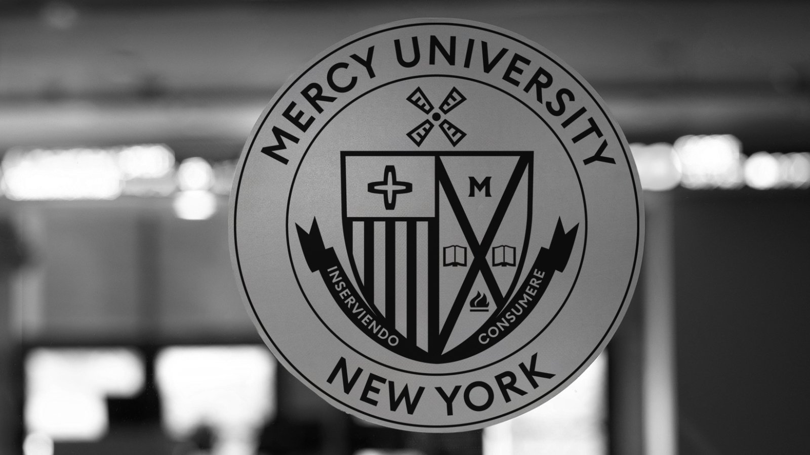 Master’s in Occupational Therapy (MSOT) | Mercy University, New York