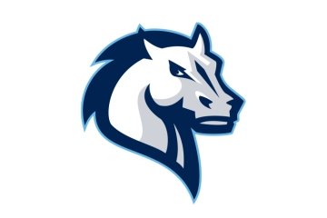 Mercy University Branding | Mercy University