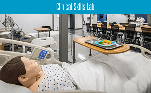 Clinical Simulation Labs | Mercy University