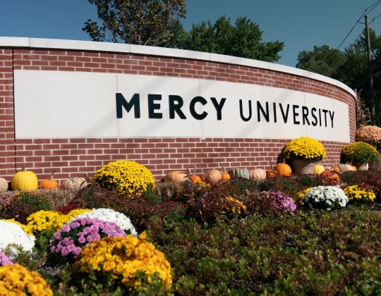 Transfer Admissions | Mercy University