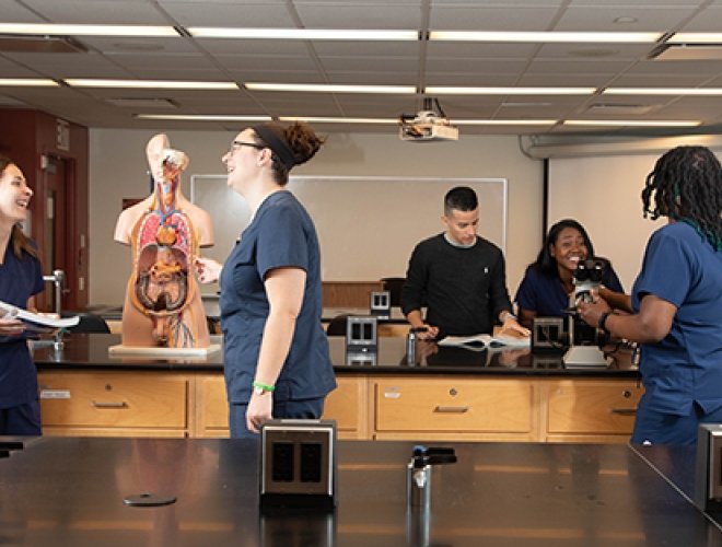 Accelerated Second Degree Nursing | Mercy University