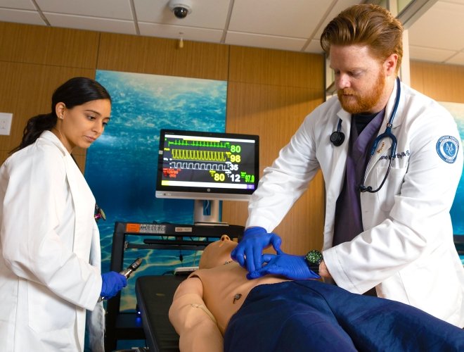 Physician Assistant M.S. Program | New York | Mercy University