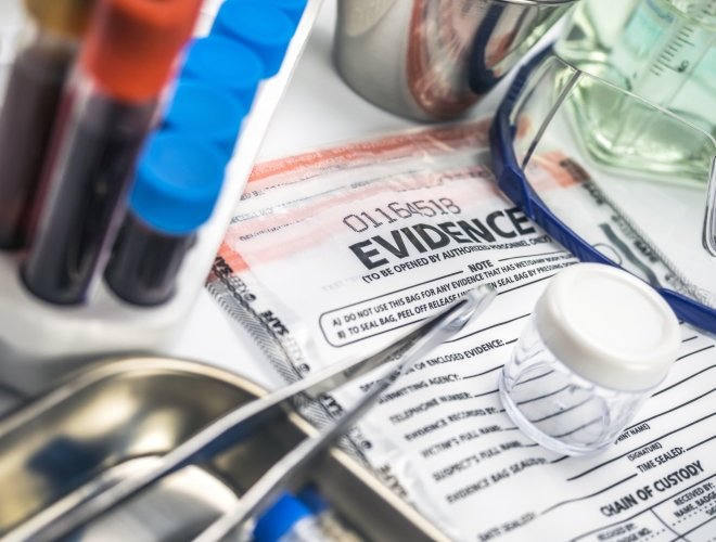 Criminal Justice: Homeland Security | Mercy University