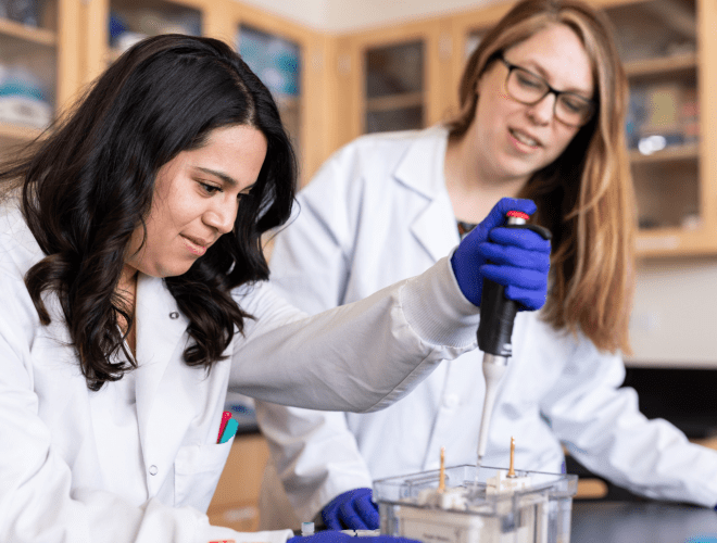 Health Science: Clinical Care | Mercy University