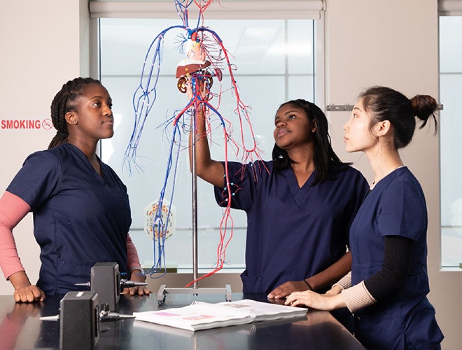 Accelerated Second Degree Nursing Admissions Q&A Session | Mercy University