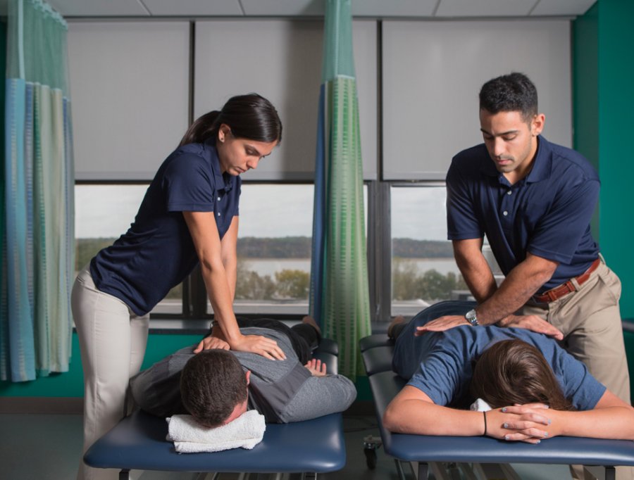 Doctor of Physical Therapy (DPT) Program | Mercy University | NY